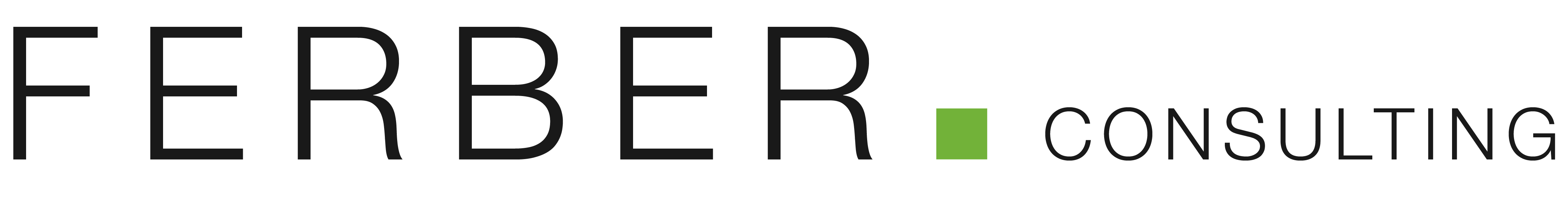 FERBER Consulting